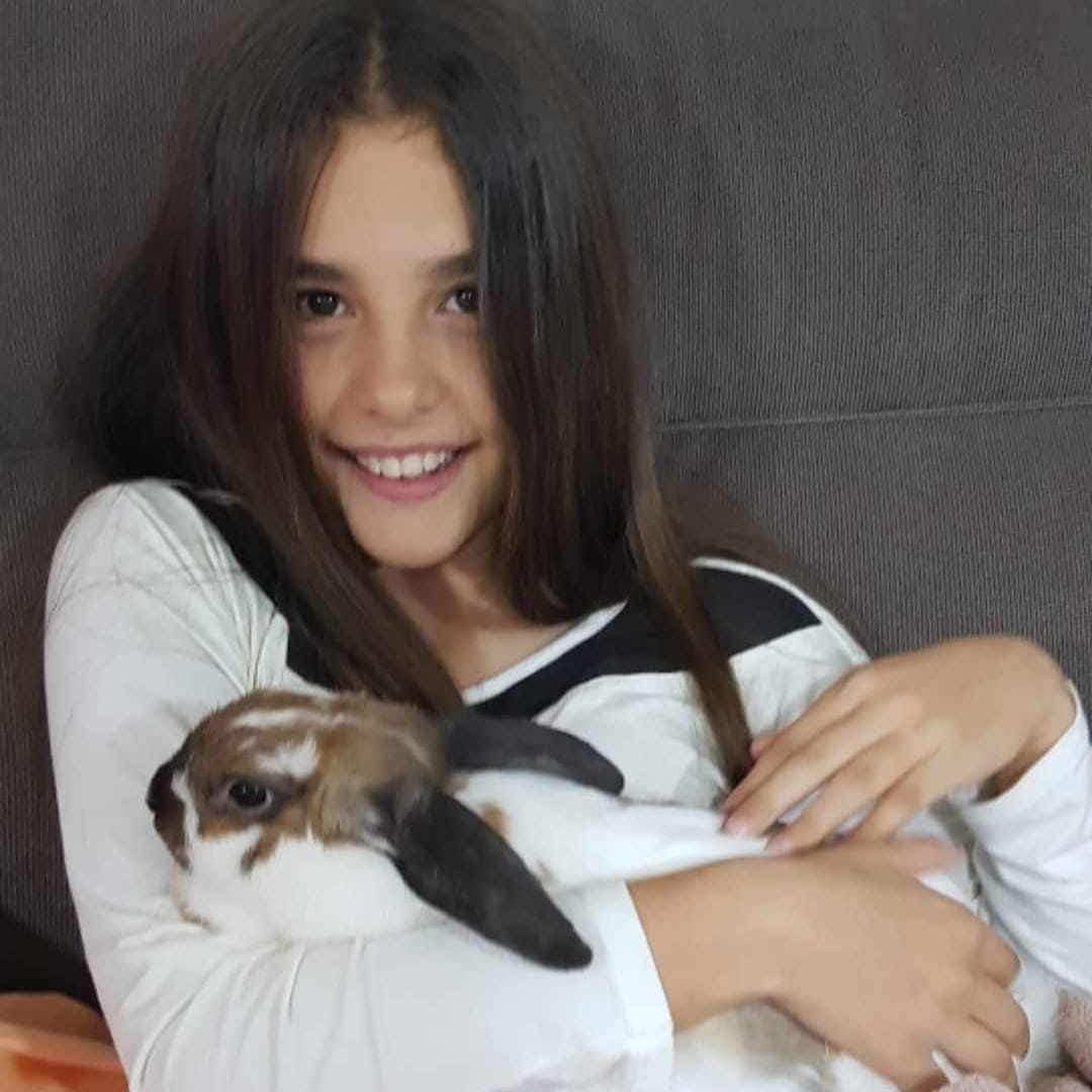 Mini Coelho Curitiba - Filhotes de qualidade direto do criador!