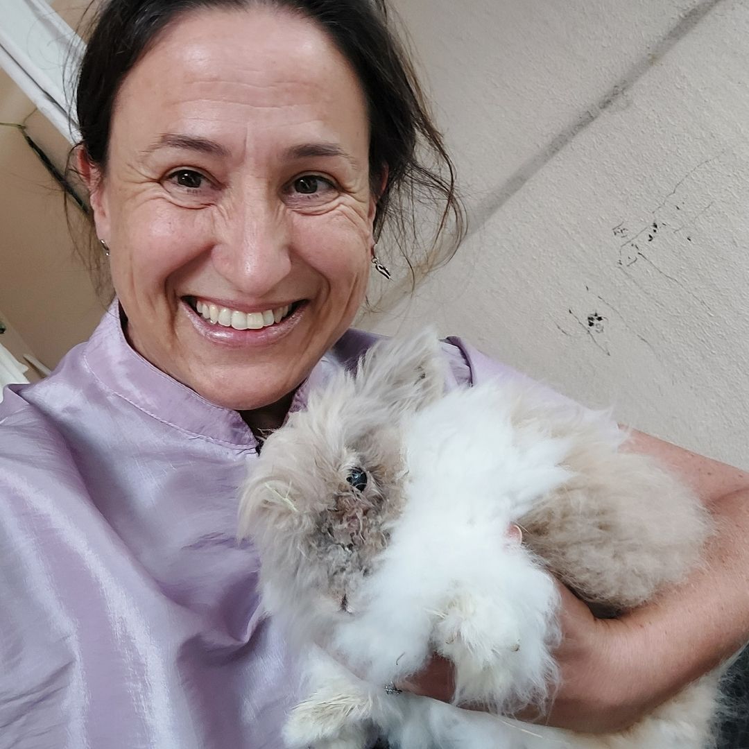 Tosa de coelhos em Curitiba região - atendimento a domicílio